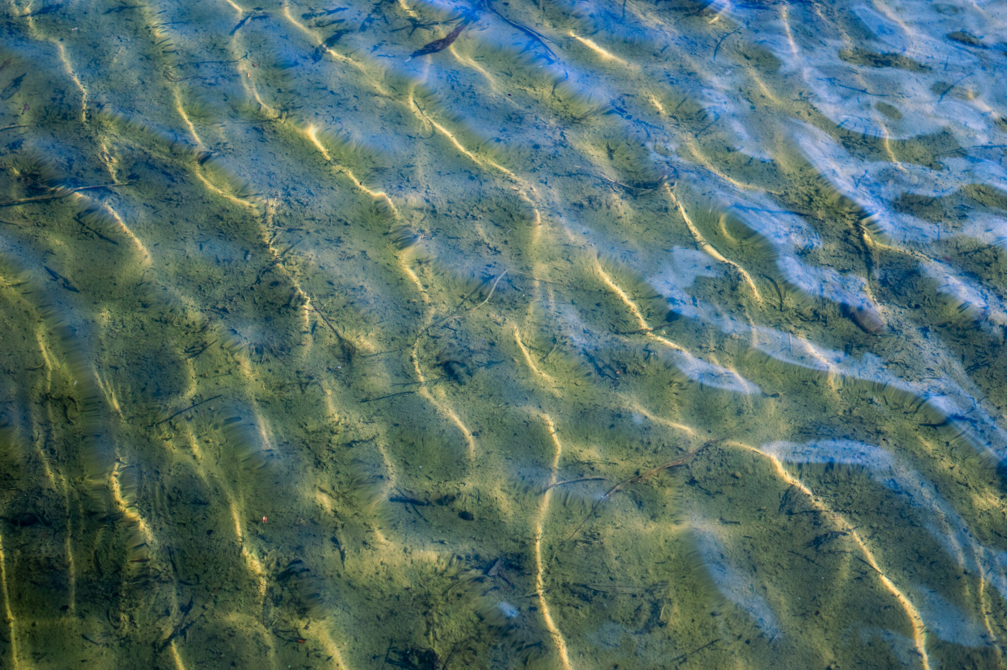 Dr Peter Kapff | Fees | King's Road, London UK | Kapff Medical Ltd